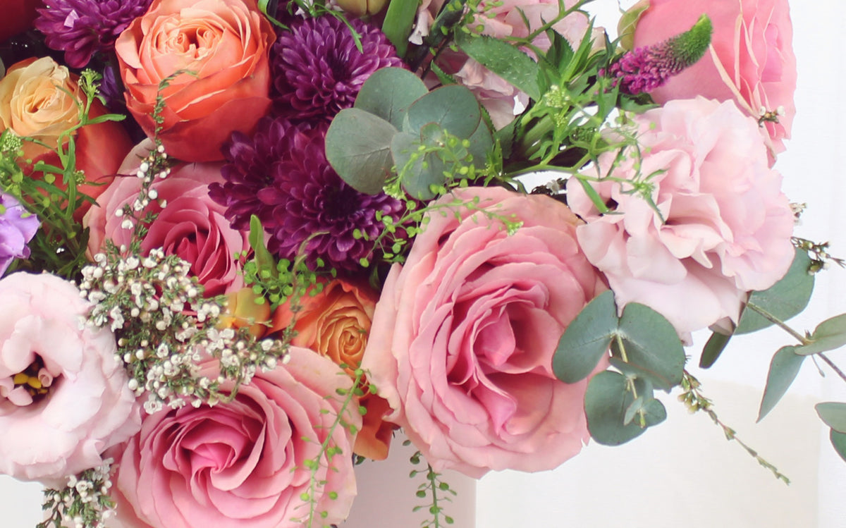 Pink – Secret Garden Rose Inc