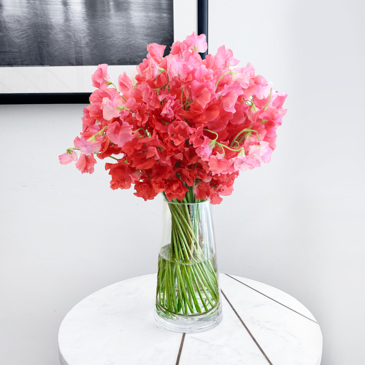 Japanese Sweet Peas – Secret Garden Rose Inc