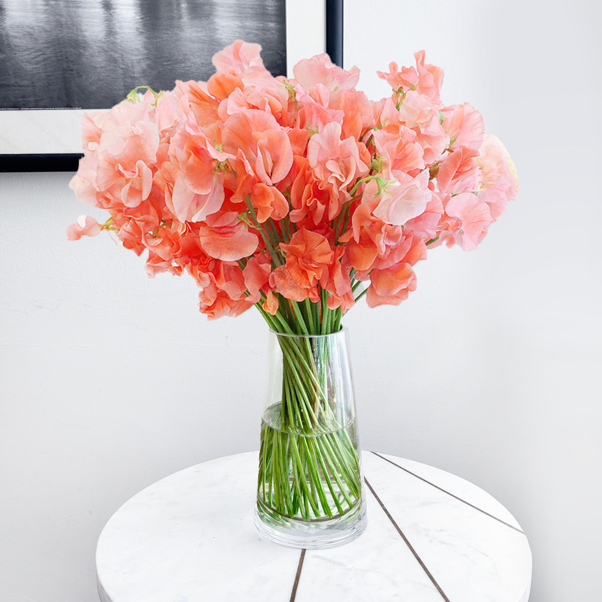 Japanese Sweet Peas – Secret Garden Rose Inc