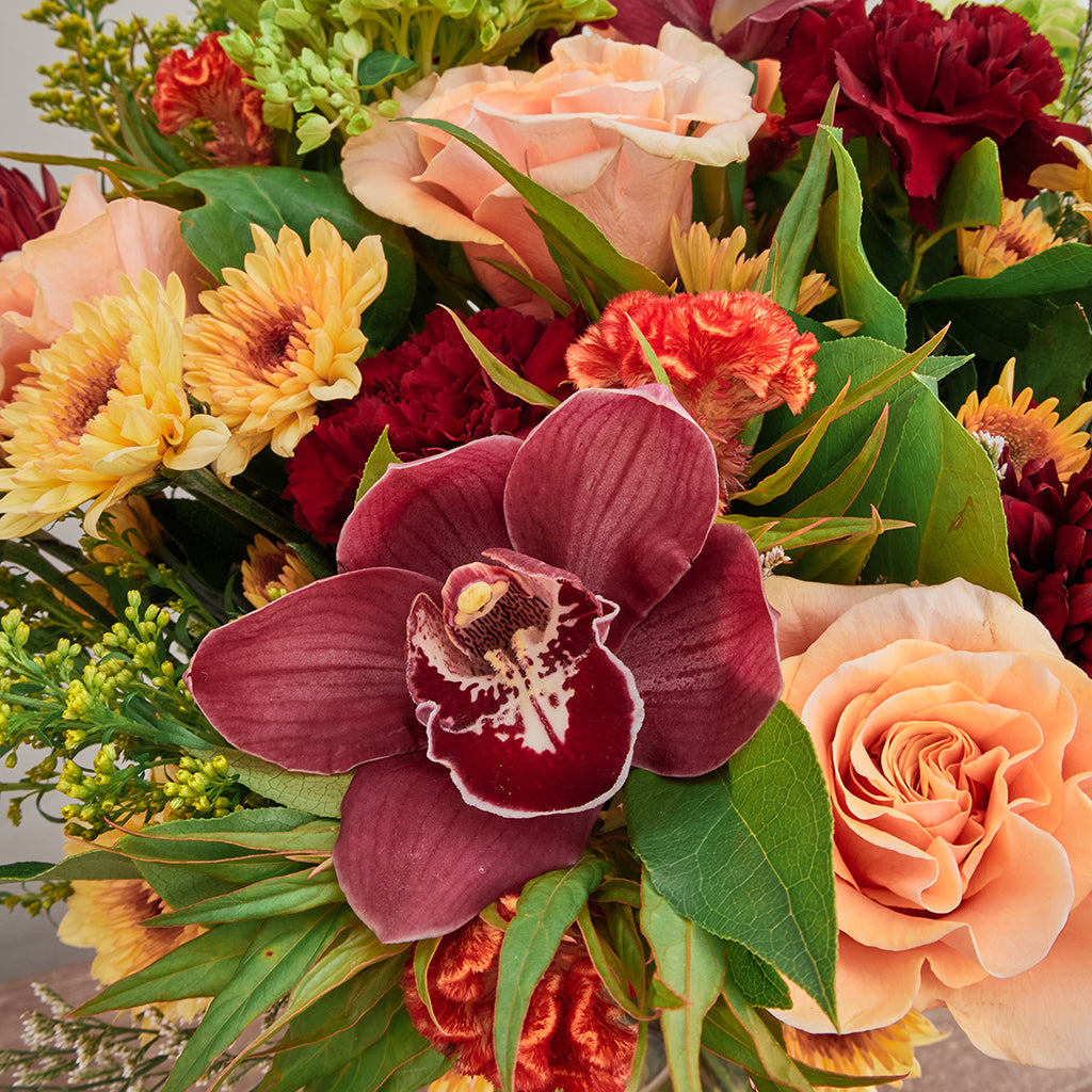 Mia – Secret Garden Rose Inc